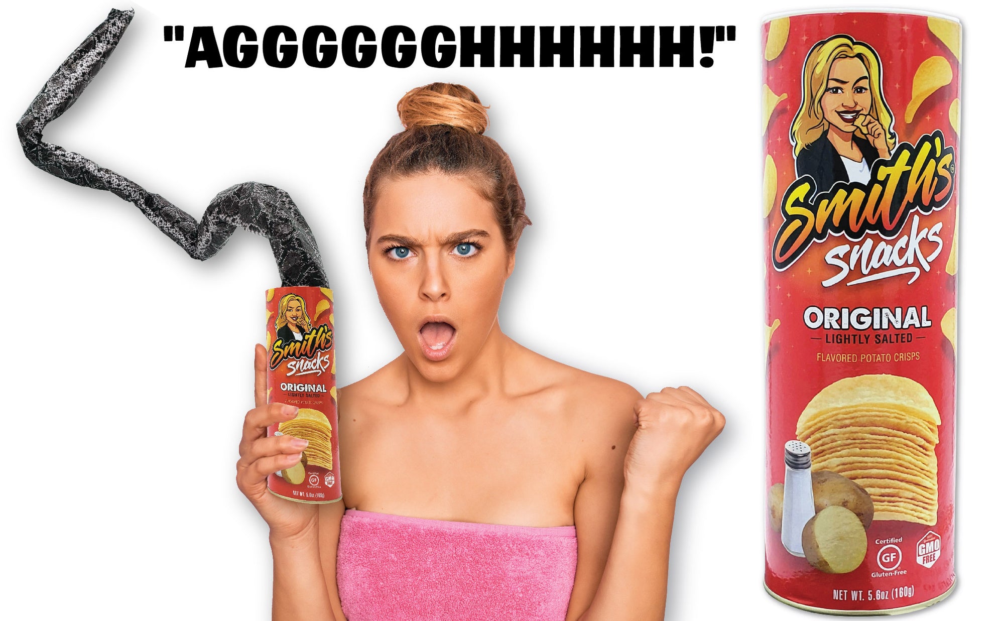 Snake in a Can Prank Gag - Smith's Snacks Potato Chip Can Snake Joke ...